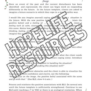 EMDR Future Template for Therapists Image and Movie - Etsy