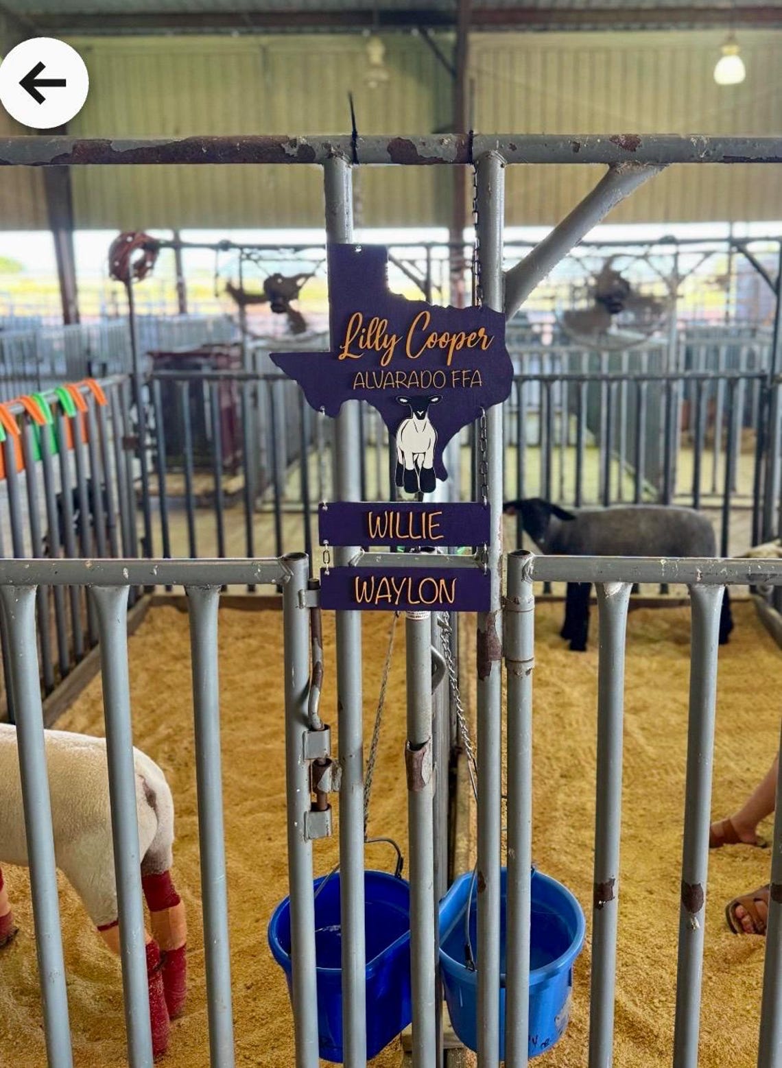 Custom FFA Lamb Stall Sign: Personalized State Shape, 4H Show Decor ...