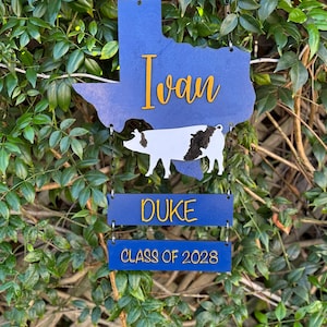 Custom State Shaped FFA Pig Stall Sign: Birch Wood Animal Name Tag, FFA ...