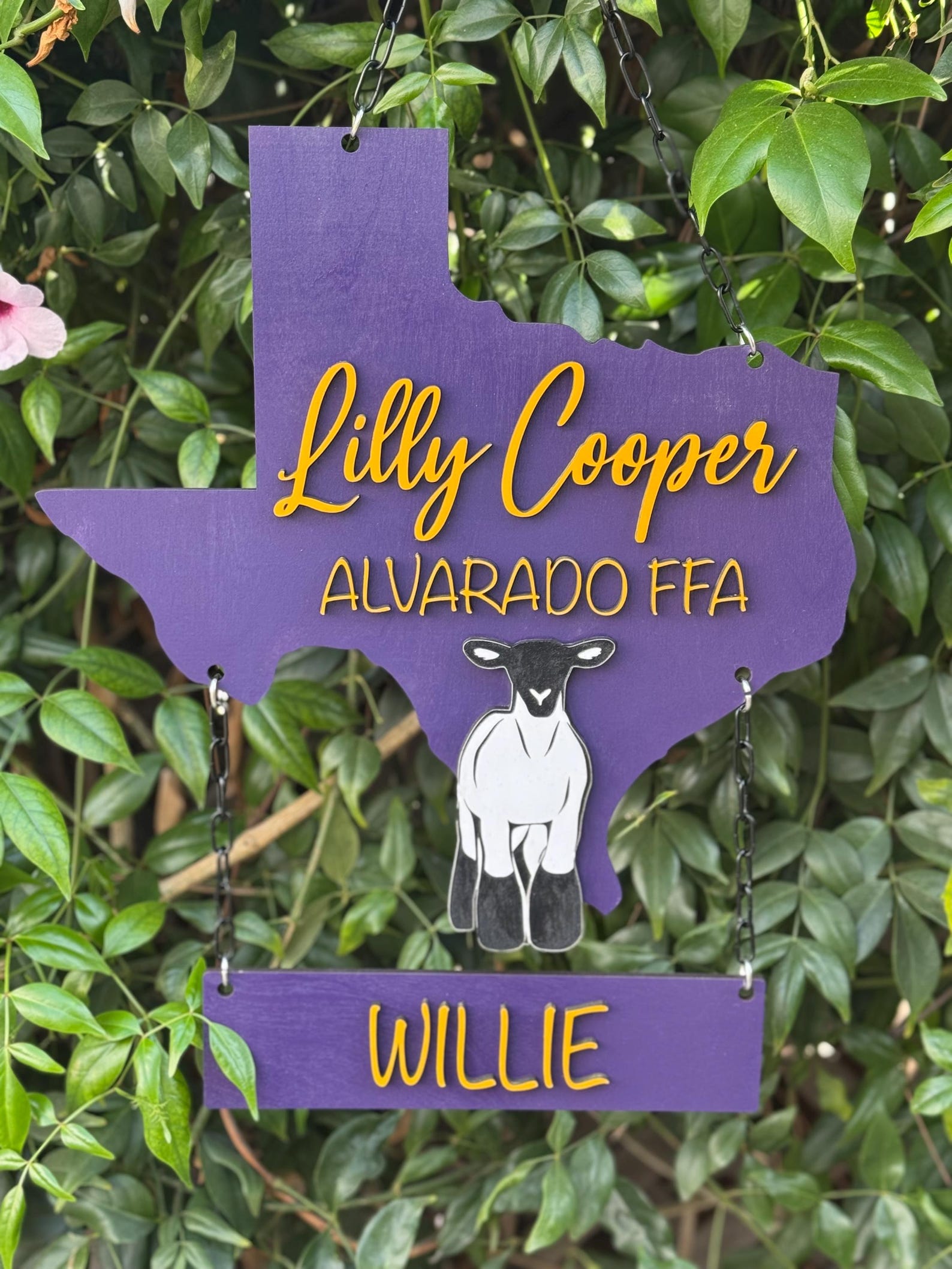 Custom FFA Lamb Stall Sign: Personalized State Shape, 4H Show Decor ...