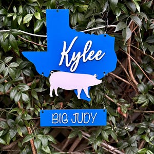 Custom State Shaped FFA Pig Stall Sign: Birch Wood Animal Name Tag, FFA ...