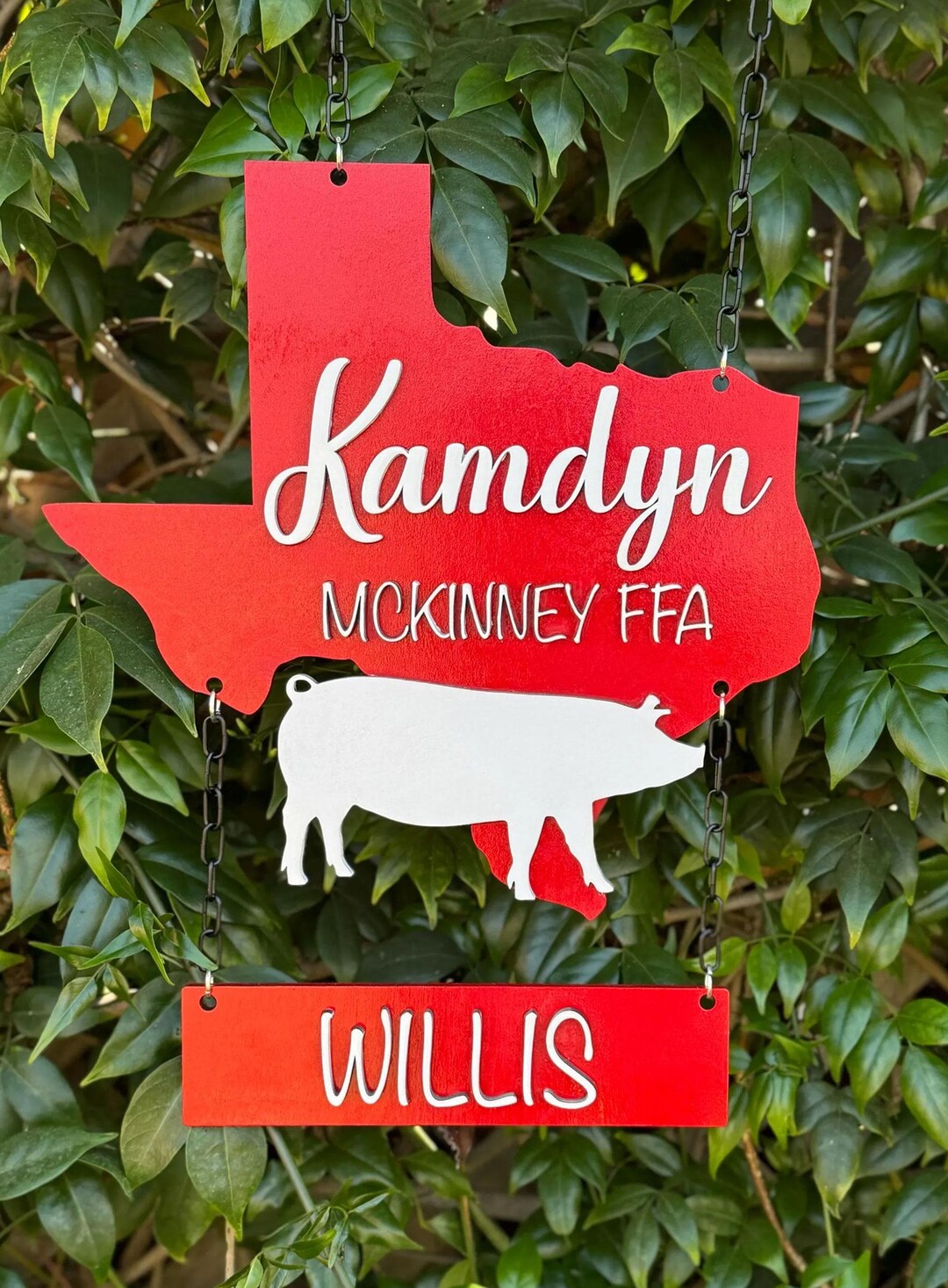 Custom State Shaped FFA Pig Stall Sign: Birch Wood Animal Name Tag, FFA ...
