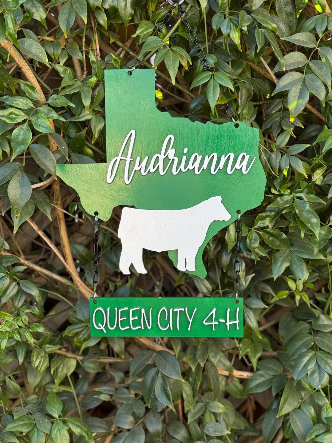 FFA Steer Stall Sign, Stall Name Tag, FFA Stall Animal Sign, Animal ...