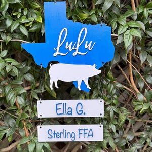 FFA Pig Stall Sign, Stall Name Tag, FFA Stall Animal Sign, Animal Name ...