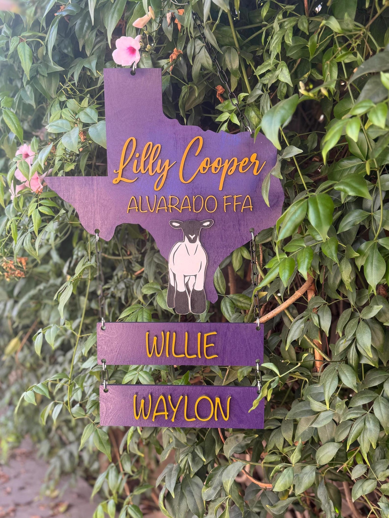 Custom FFA Lamb Stall Sign: Personalized State Shape, 4H Show Decor ...