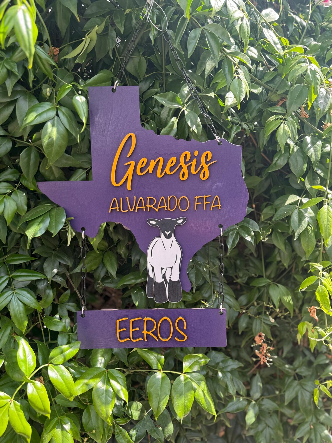 Custom FFA Lamb Stall Sign: Personalized State Shape, 4H Show Decor ...