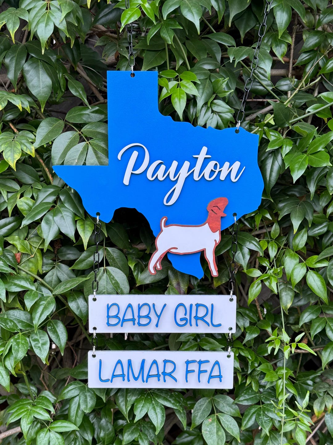 Custom FFA Animal Stall Sign, FFA Sign, 4H Sign, Stall Sign, Animal ...