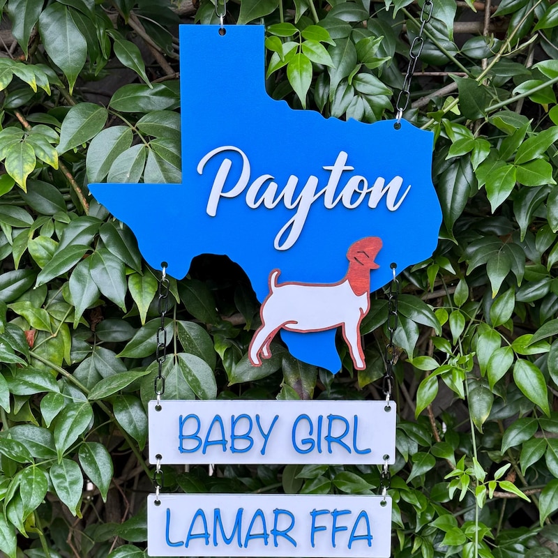Ffa Show Sign Goat - Etsy