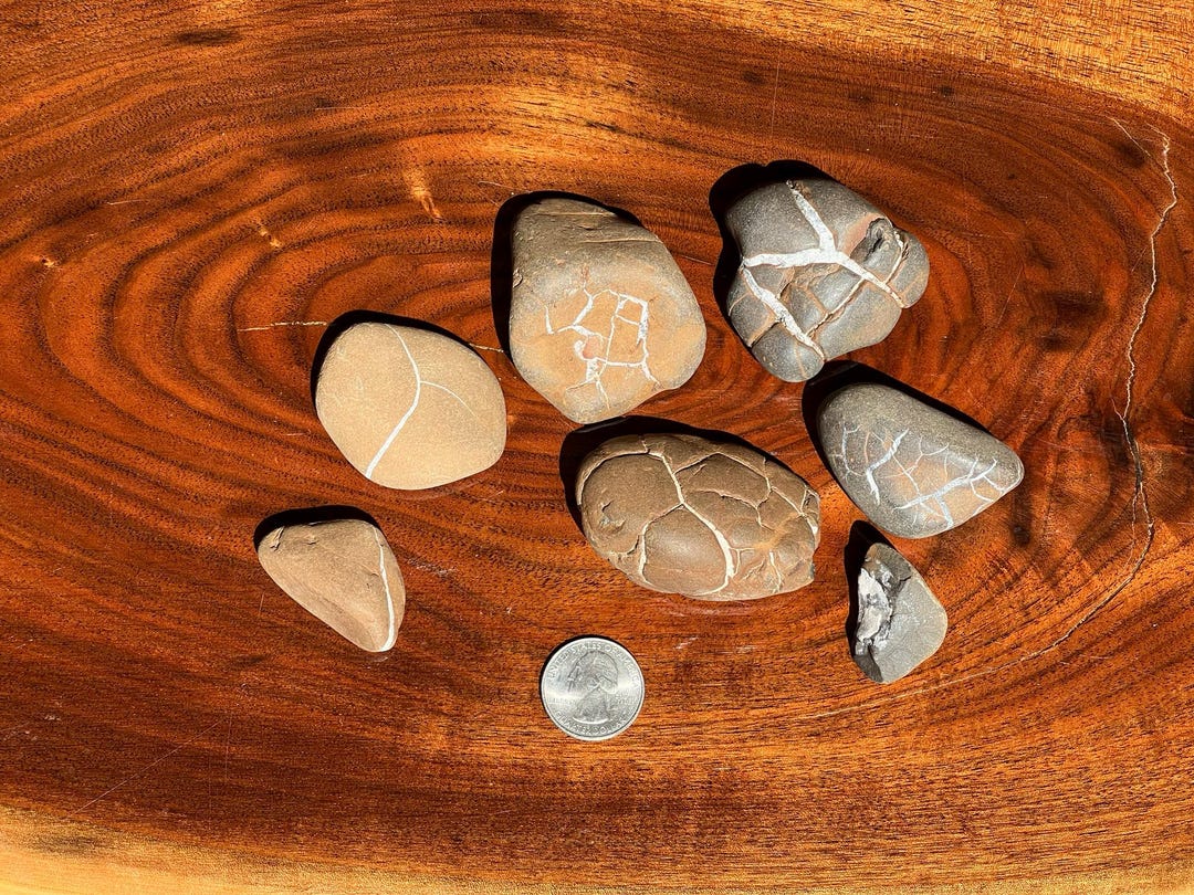 Michigan Lightning Stones - Septarian Nodules - 1 Lb - #6 - Etsy