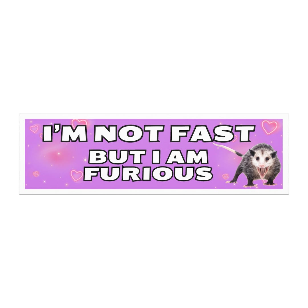 Funny Car Magnet: Hilarious Bumper Magnet With Sayings - Etsy