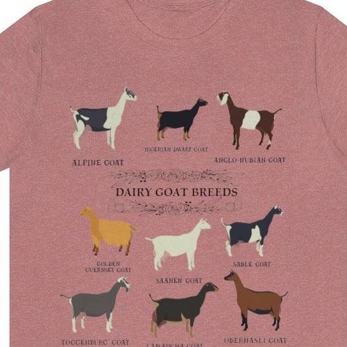 Goat Breed Tshirt Farm Animal Goats Chart Shirt Cute Goat - Etsy