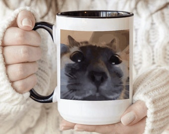 Meme Cat Mug, Funny Cat, Meme, Shocked Cat, Surprised Cat, Funny Gift ...
