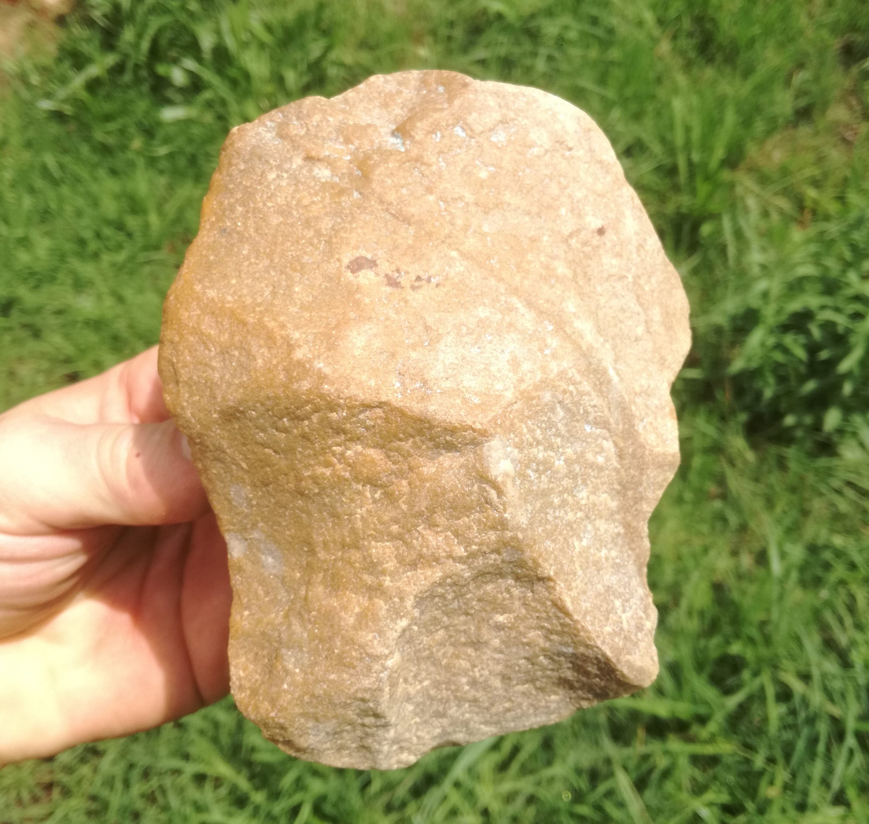 Bifacial Cleaver From the Acheulean of Africa's Early Stone Age for ...