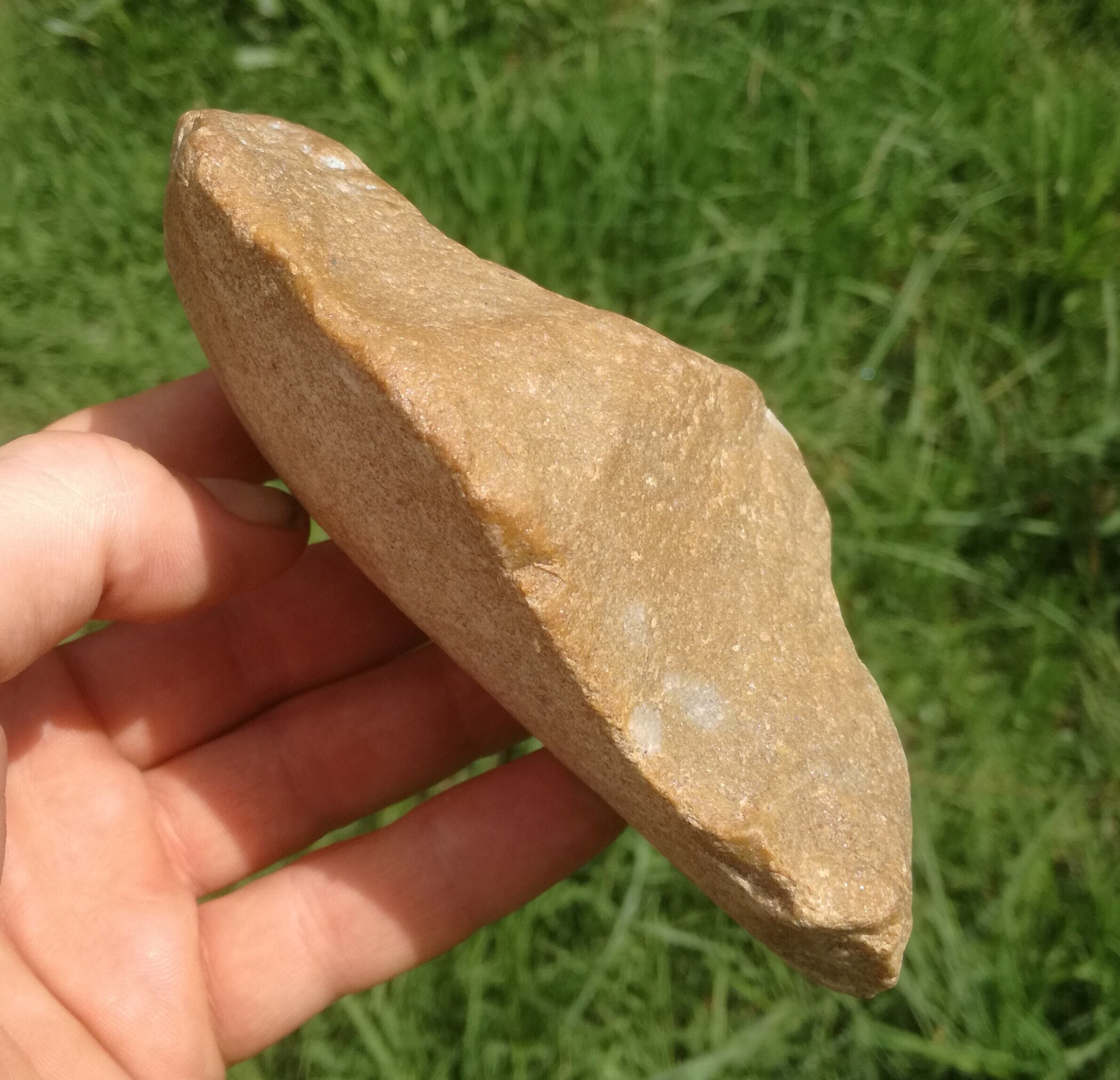 Bifacial Cleaver From the Acheulean of Africa's Early Stone Age for ...