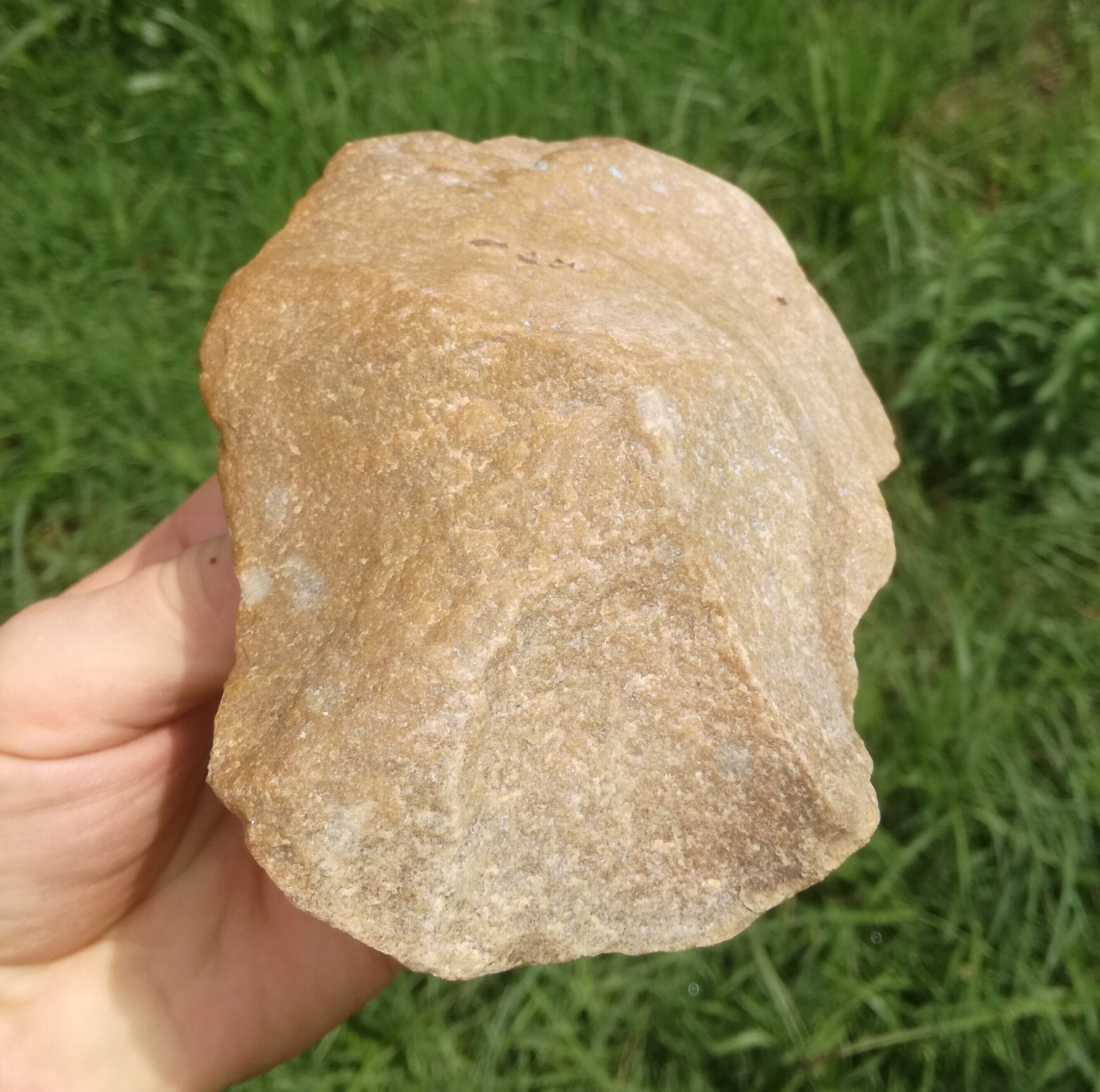 Bifacial Cleaver From the Acheulean of Africa's Early Stone Age for ...