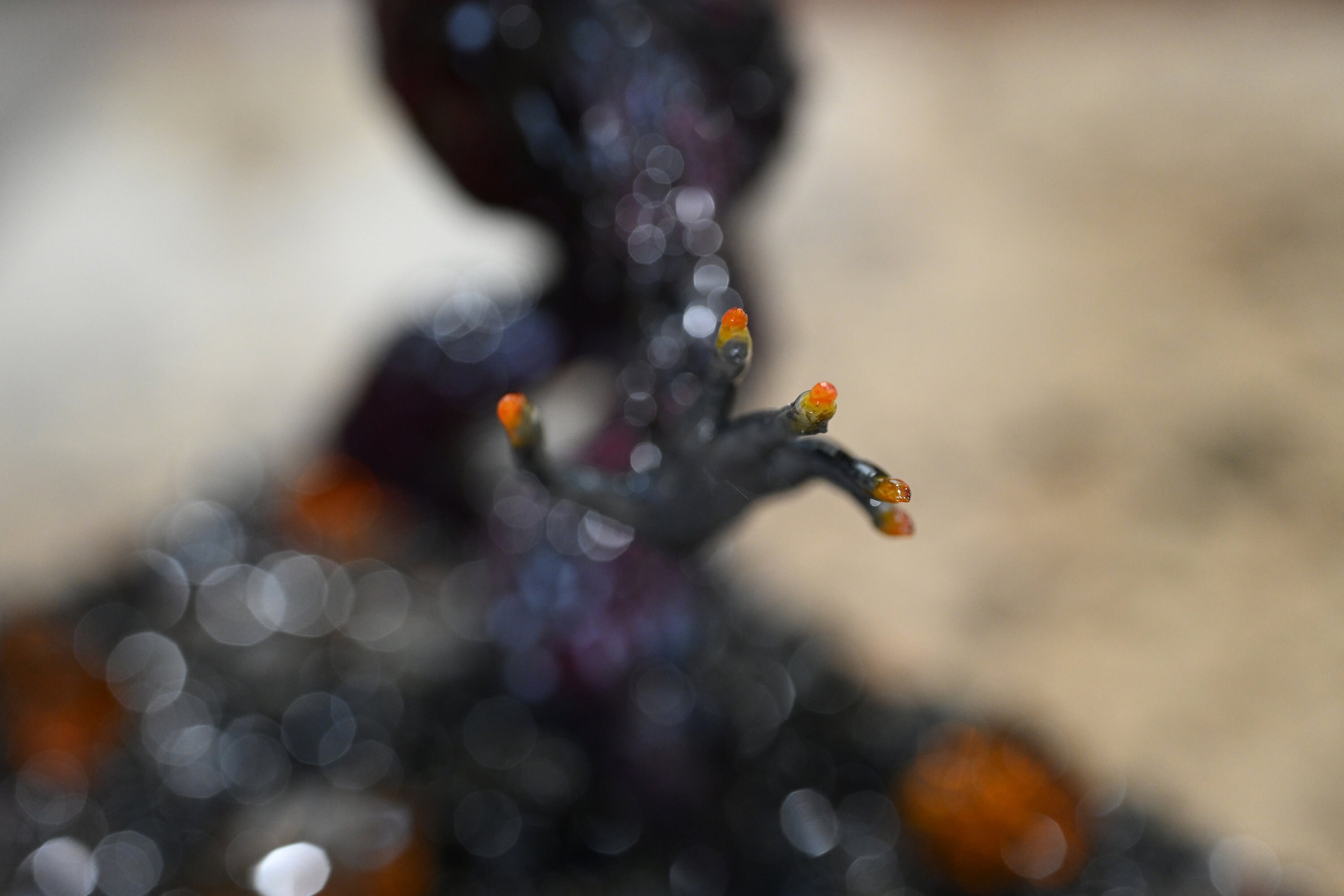 Big Werewolf, Dogman Creature, Musophobia, Resin Sculpture, 3d Print ...