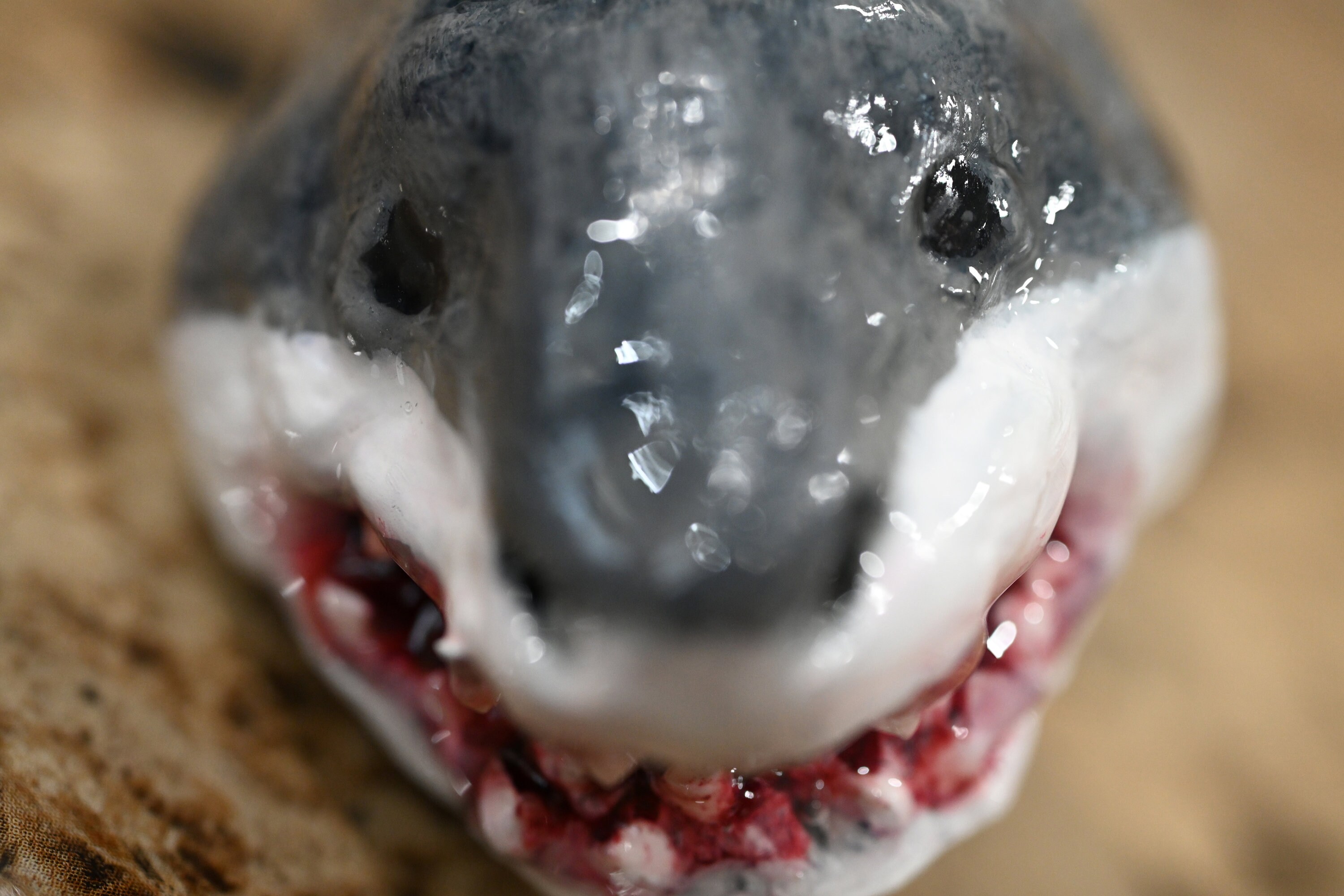 Mini Sculpt Bust of Great White Shark, Shark Teeth Jaws, Black Eyes ...