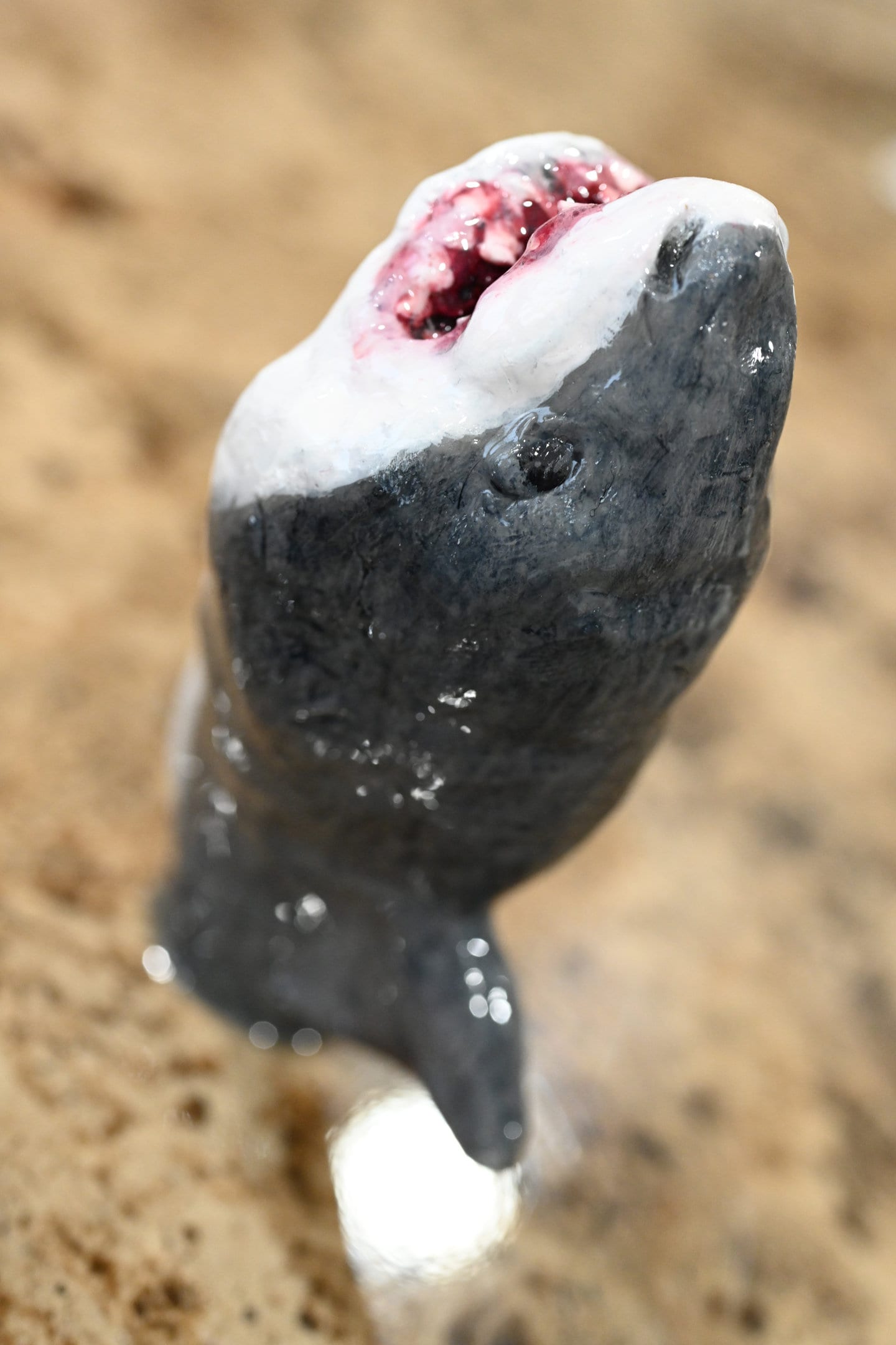 Mini Sculpt Bust of Great White Shark, Shark Teeth Jaws, Black Eyes ...