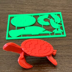 Sea Turtle Card Kit! Build Your Own Sea Turtle! Turtle Building Kit ...