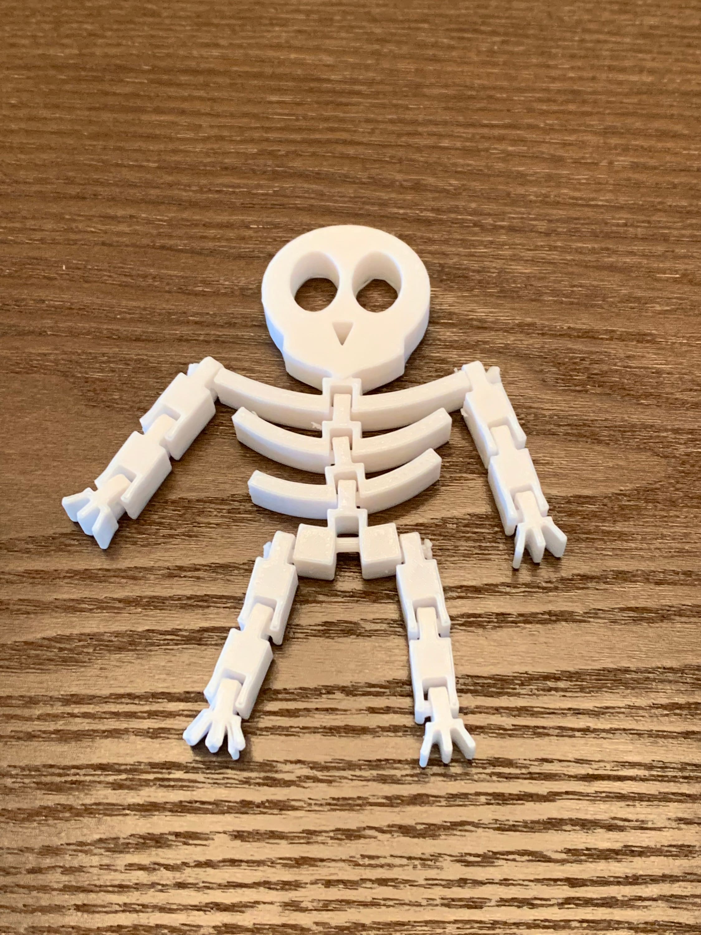 Articulated Skeleton 3D Printed Flexible Joints/moving Parts - Etsy