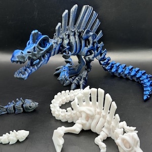 Skeleton Spinosaurus With Fish/articulated Body/head/fish/2 Sizes ...