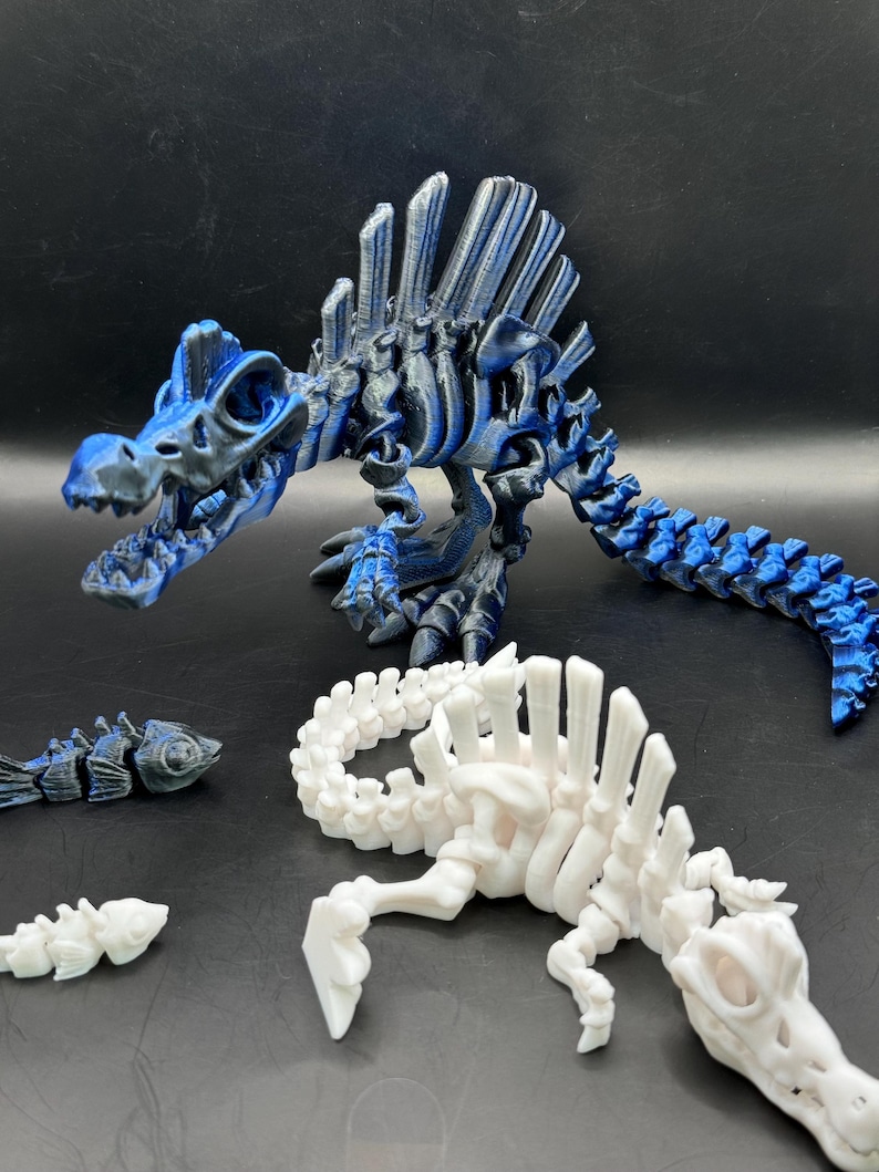 Skeleton Spinosaurus With Fish/articulated Body/head/fish/2 Sizes ...