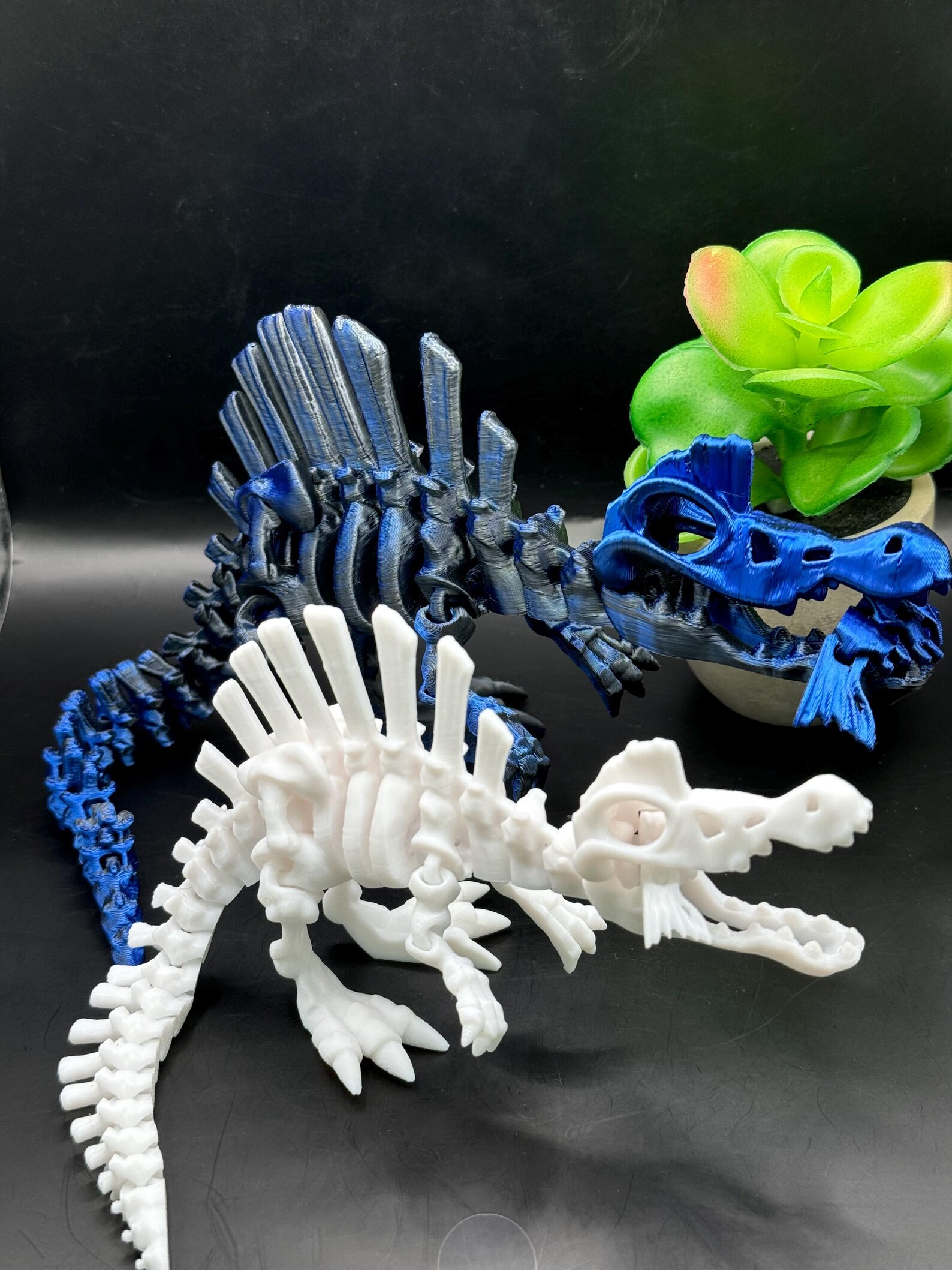 Skeleton Spinosaurus With Fish/articulated Body/head/fish/2 Sizes ...