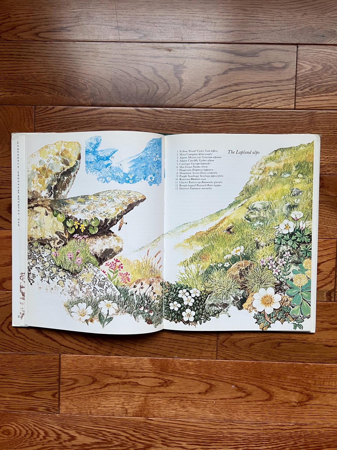 Vintage 1979 Carl Linnaeus Travels Nature Exploration Botanical Book ...