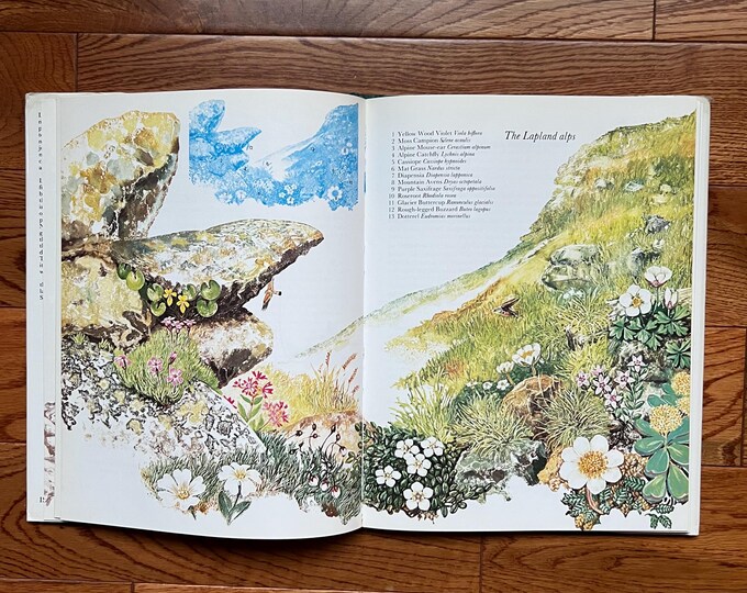 Vintage 1979 Carl Linnaeus Travels Nature Exploration Botanical Book ...