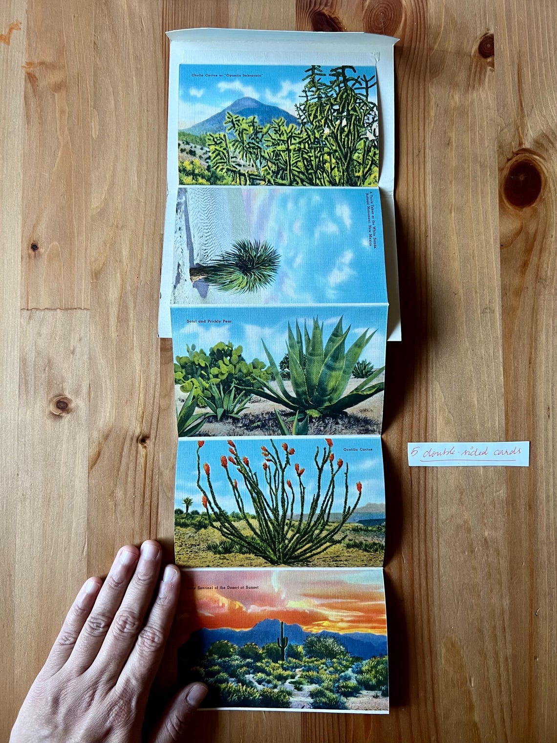 Vintage Postcards Foldout Travel Mid-century,travel Ephemera,travel ...