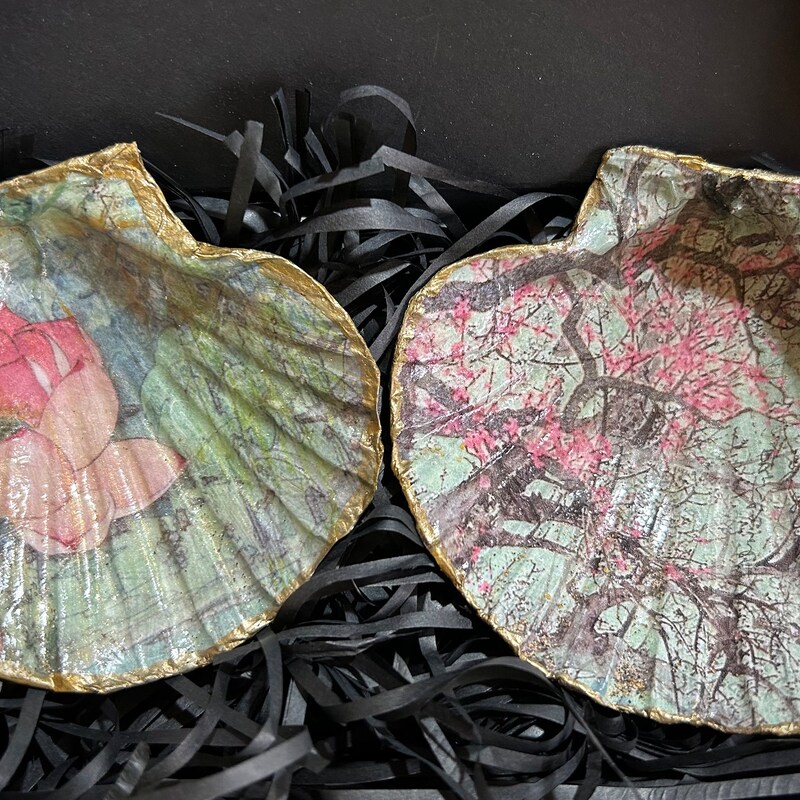 JDsucculentsStore - Etsy