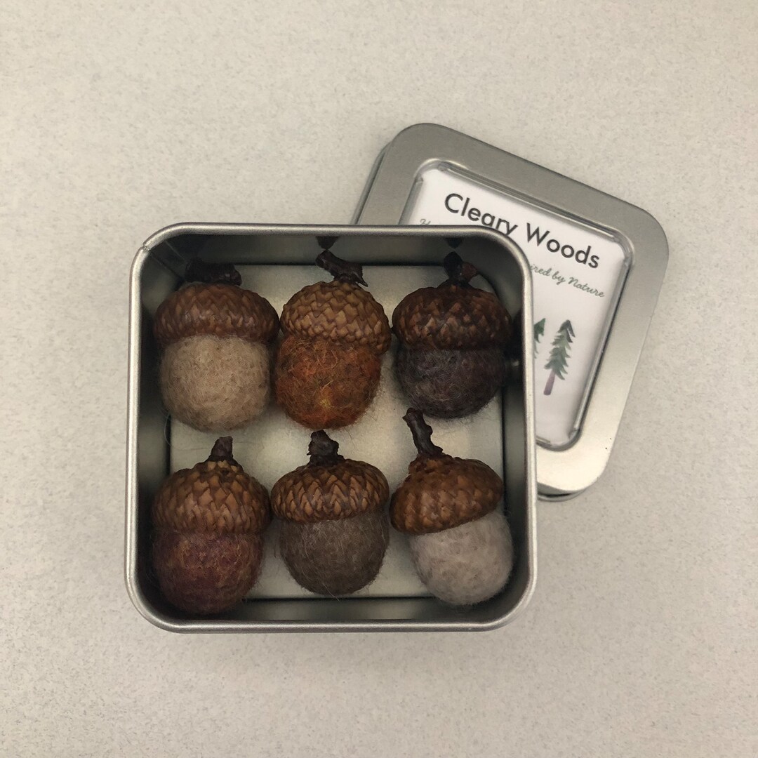 Set of 6 Felted Wool Acorn Magnets in a Tin Box, Strong Refrigerator ...