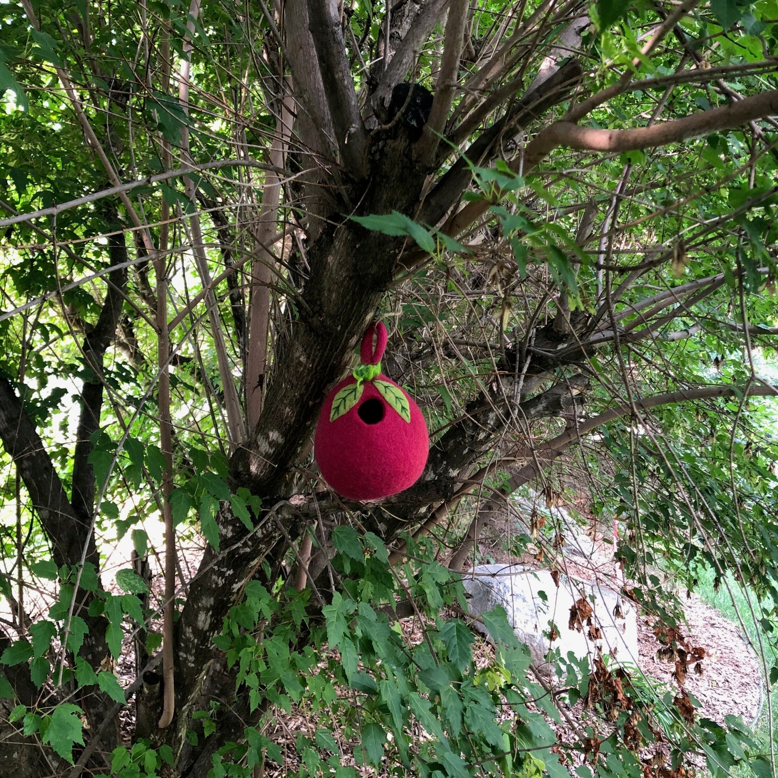 Felted Bird Pod Felted Wool Birdhouse Bird Eco Pod Unique - Etsy