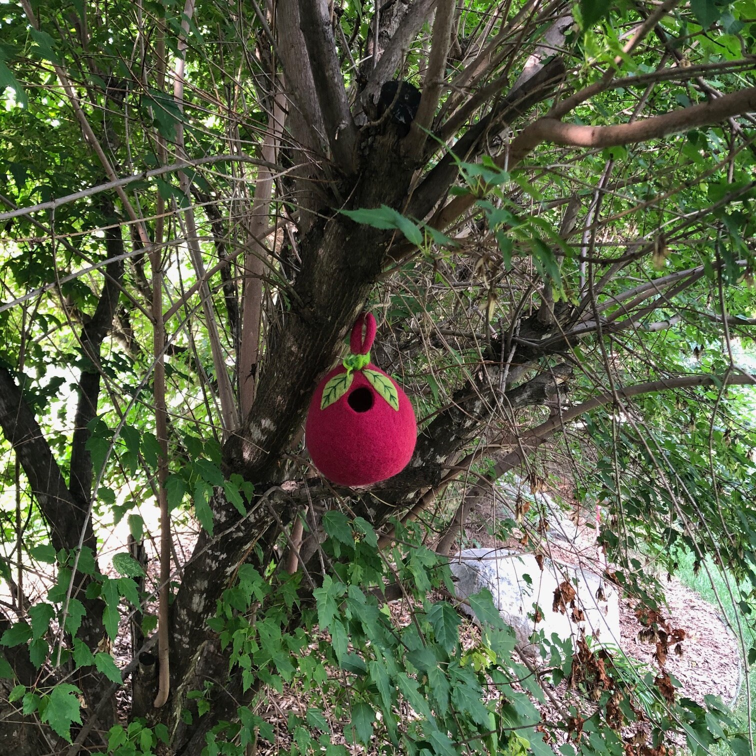Felted Bird Pod Felted Wool Birdhouse Bird Eco Pod Unique - Etsy