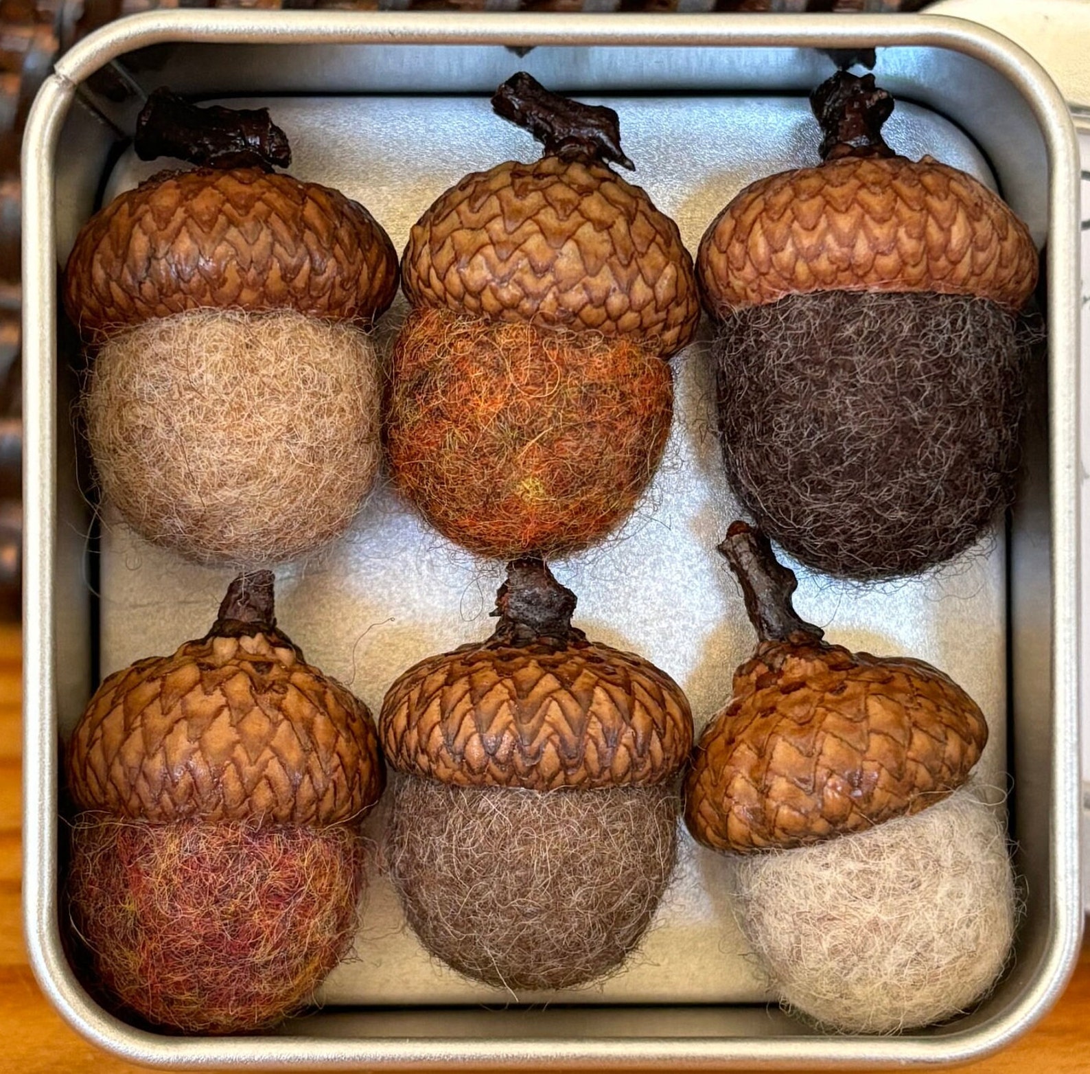 Set of 6 Felted Wool Acorn Magnets in a Tin Box, Refrigerator Magnets ...