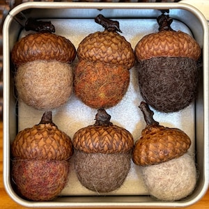 Set of 6 Felted Wool Acorn Magnets in a Tin Box, Refrigerator Magnets ...