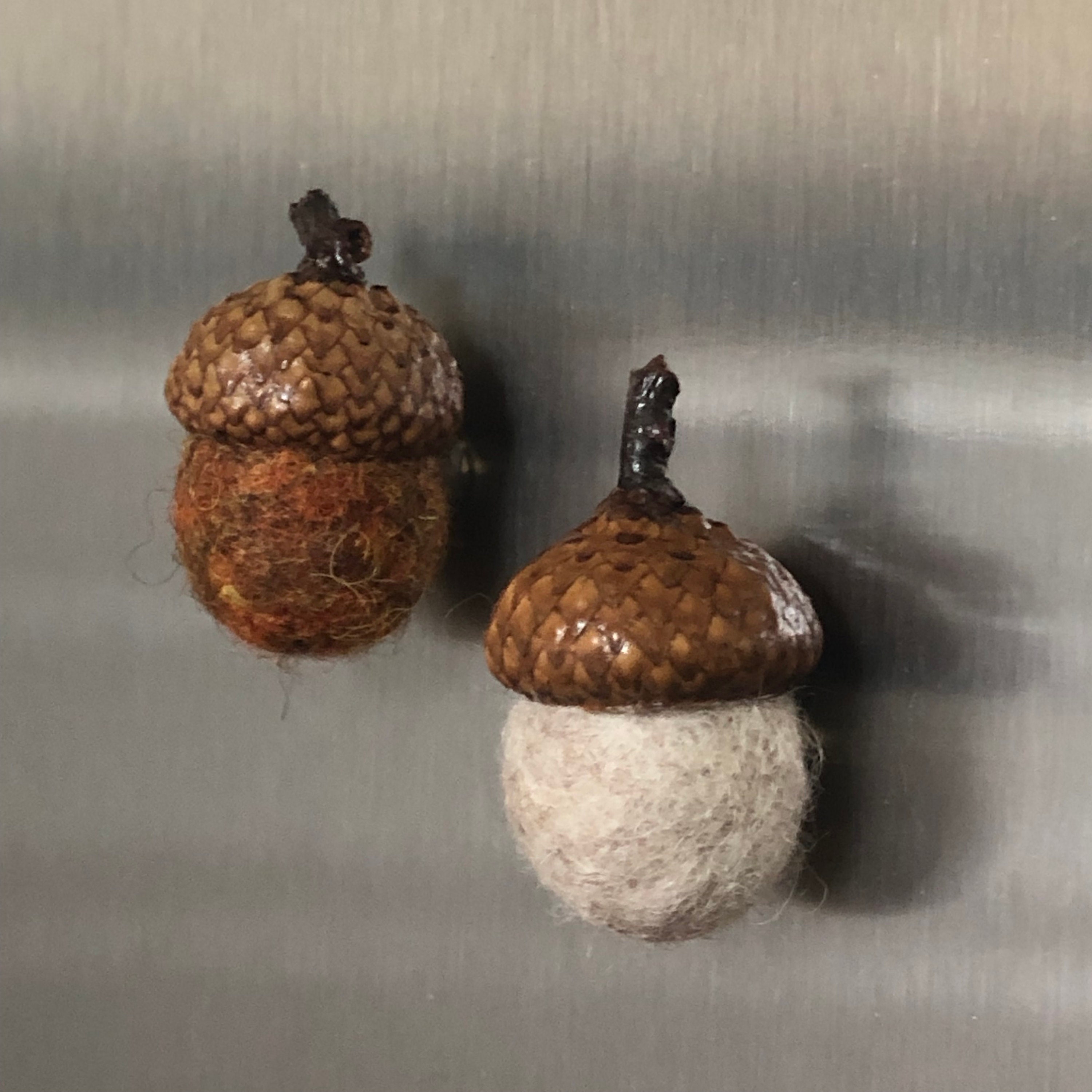 Set of 6 Felted Wool Acorn Magnets in a Tin Box, Refrigerator Magnets ...