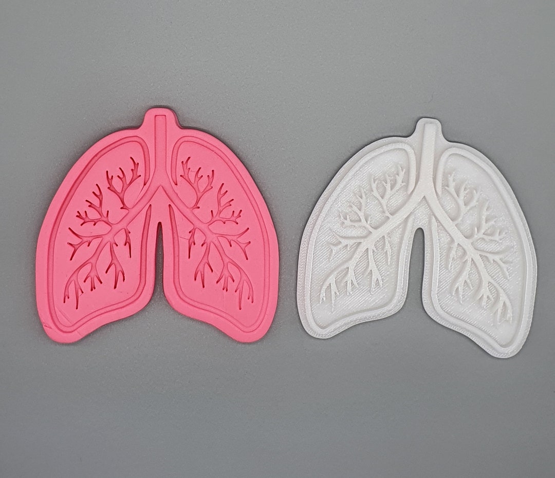 Anatomical Lungs Cookie Cutter Biscuit Cutters Gifts Lung Pulmonology ...