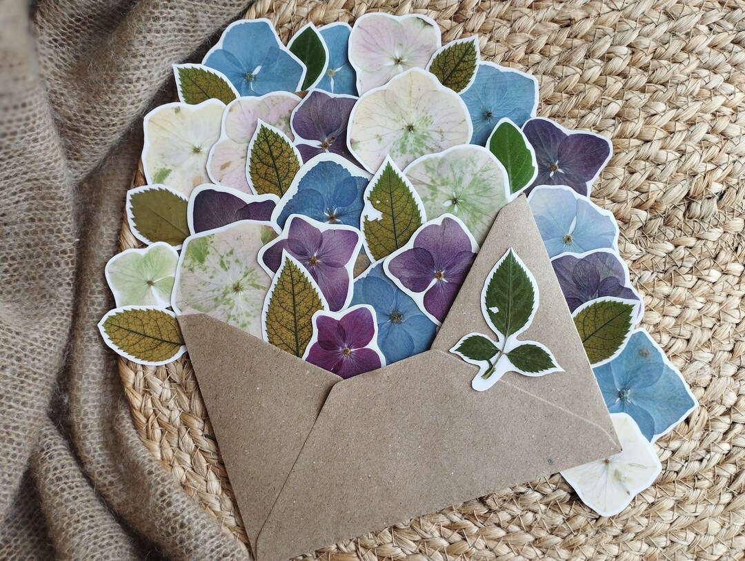 One Piece Sticker Hydrangea Vinyl Stickers Planner Flower - Etsy