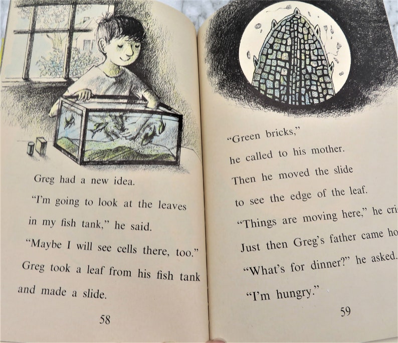 Greg's Microscope C1963 by Millicent & Selsam Harper and Row Publishers ...