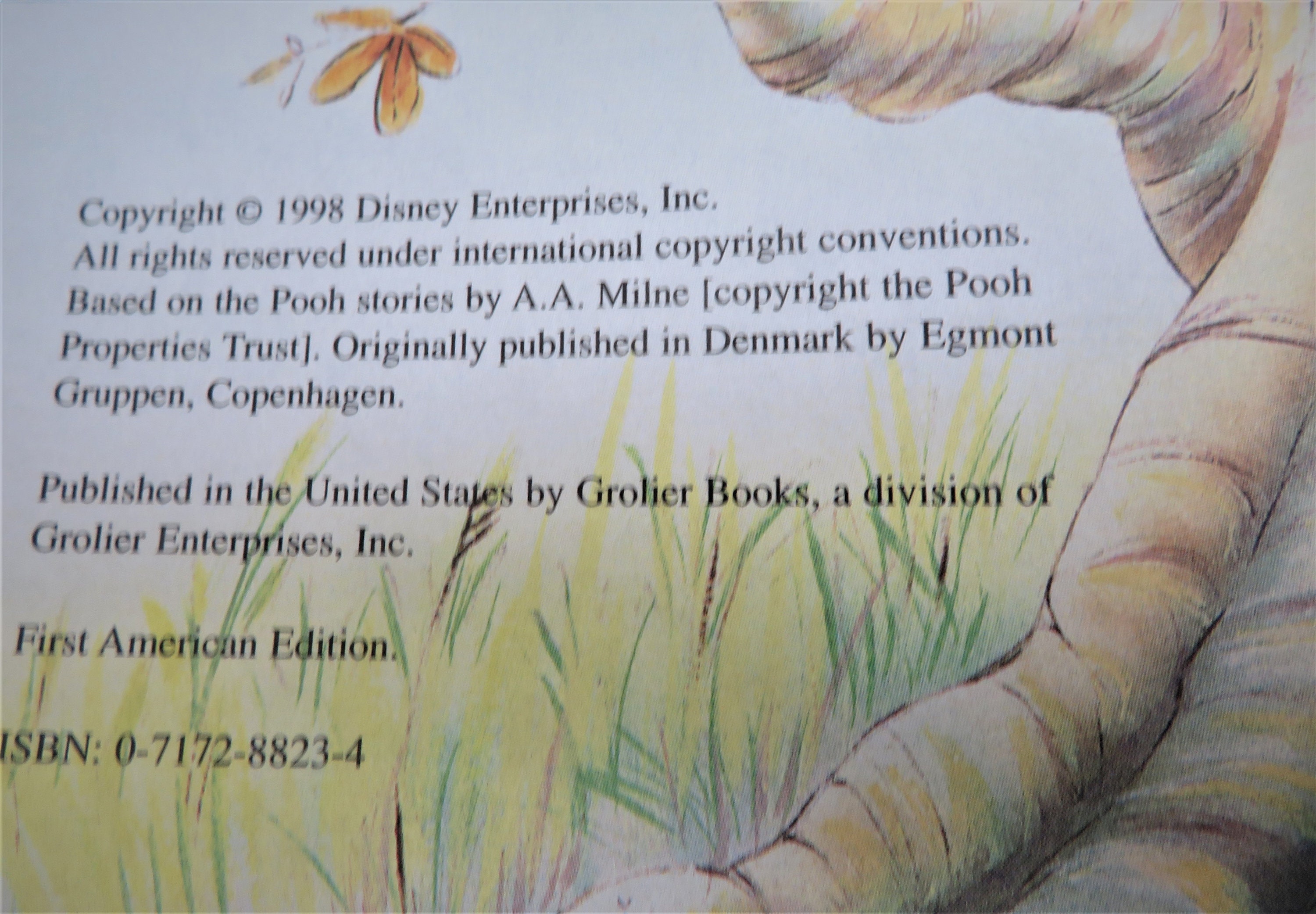 Disney Winnie the Pooh how to Catch a Heffalump Book C1998 - Etsy