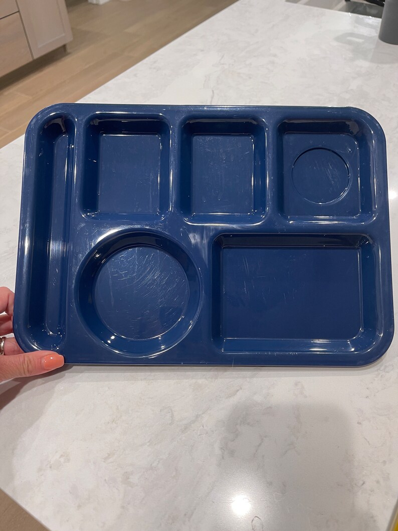 Set of 8 Vintage Silite Plastic Food Trays With Sections - Etsy