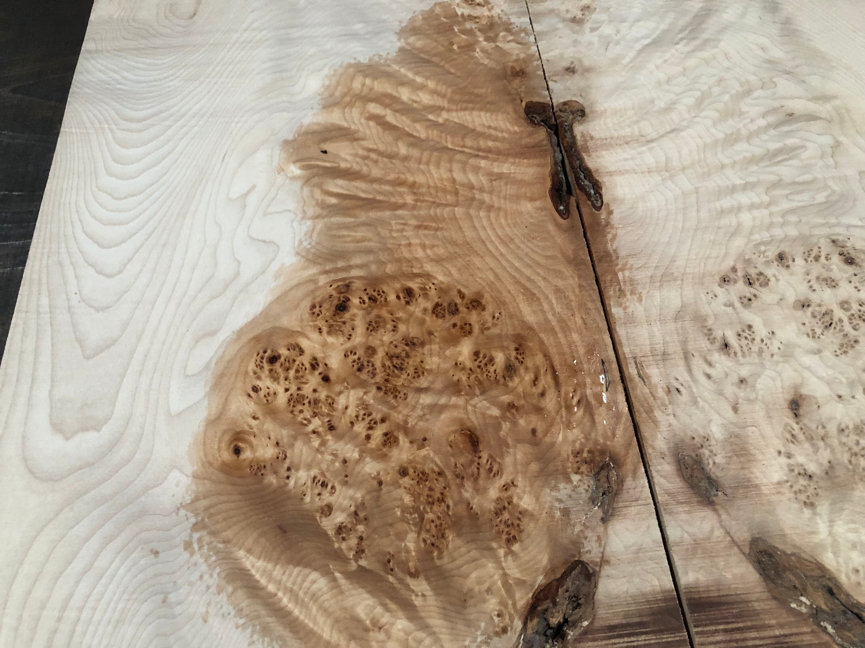 Maple Burl Bookmatched Electric Guitar Tops 320 - Etsy