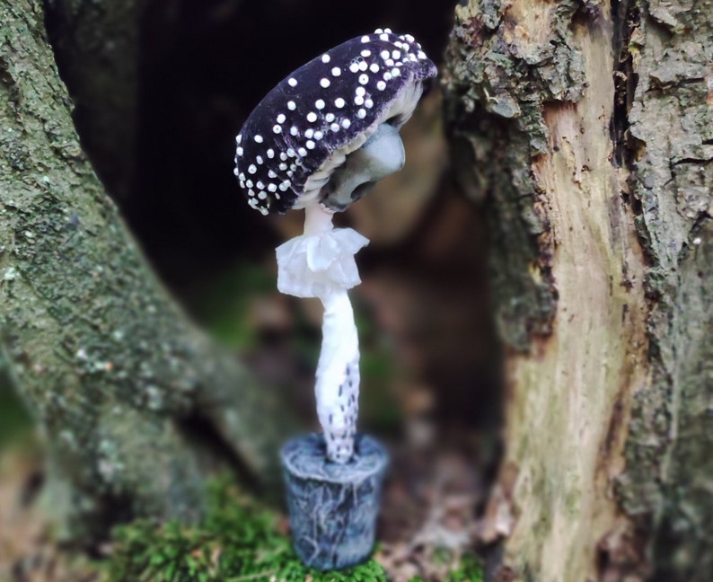 Mushroom Art Decor Skeleton Gothic Art Decor Creepy Doll - Etsy