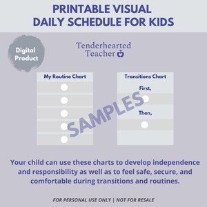 Visual Daily Schedule Chart for Kids Preschoolers Toddlers Routines ...