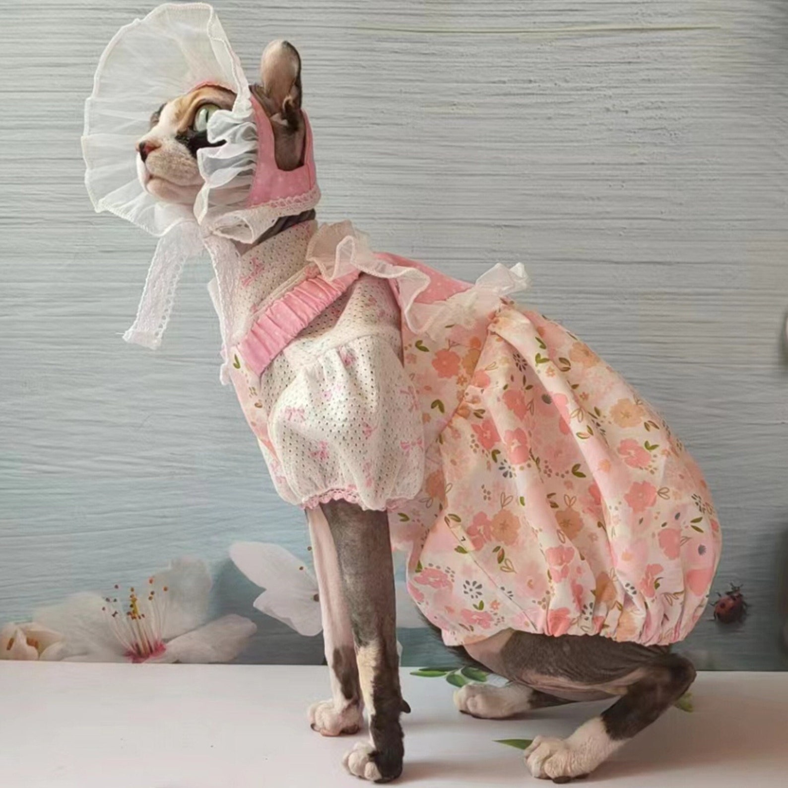 4 Colors Sphynx Cat Clothes/devon Rex Cat Sunmmer Clothes/hairless Cat ...