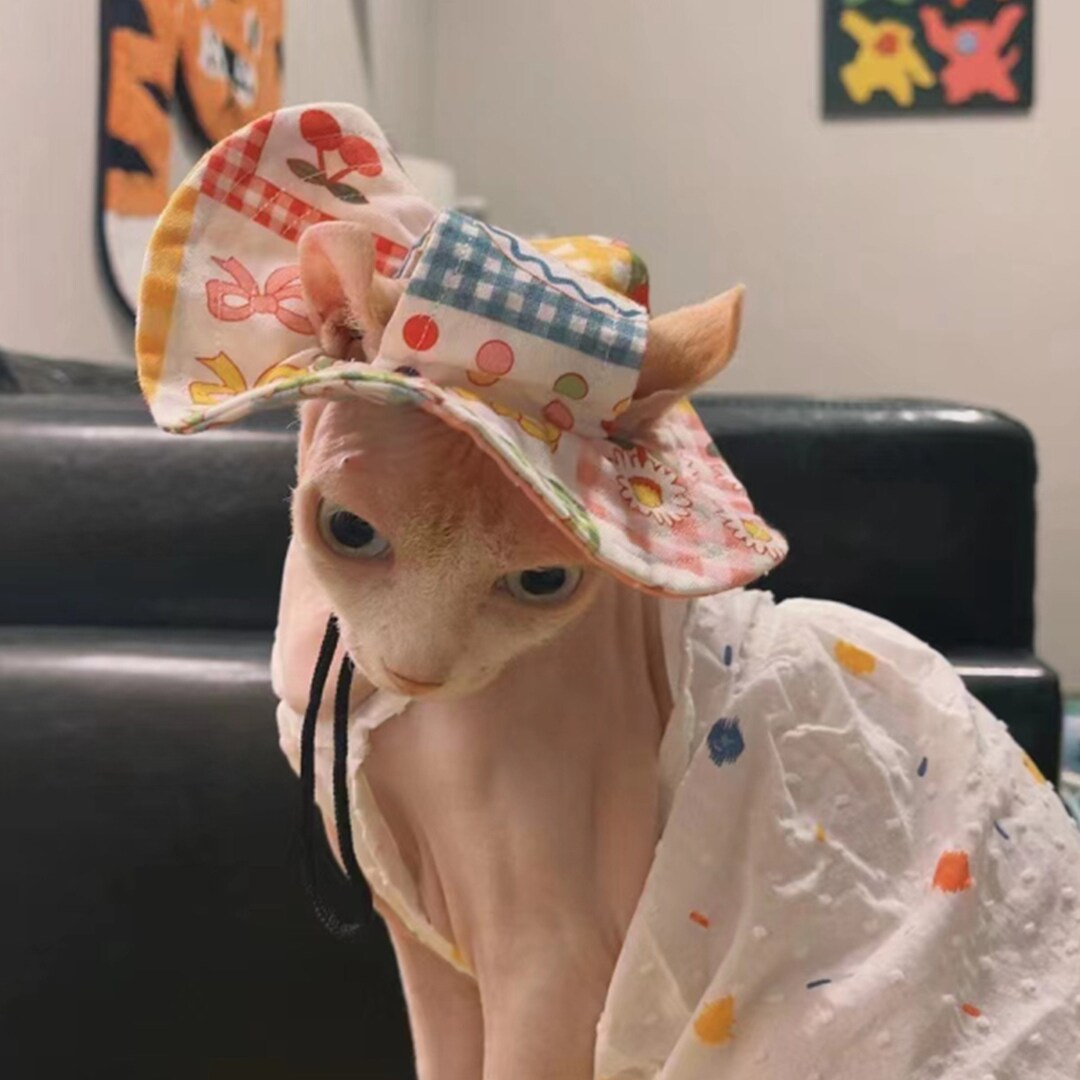 4 Colors Sphynx Hairless Cats Hat/summer Sun Protection Cap/bambino ...