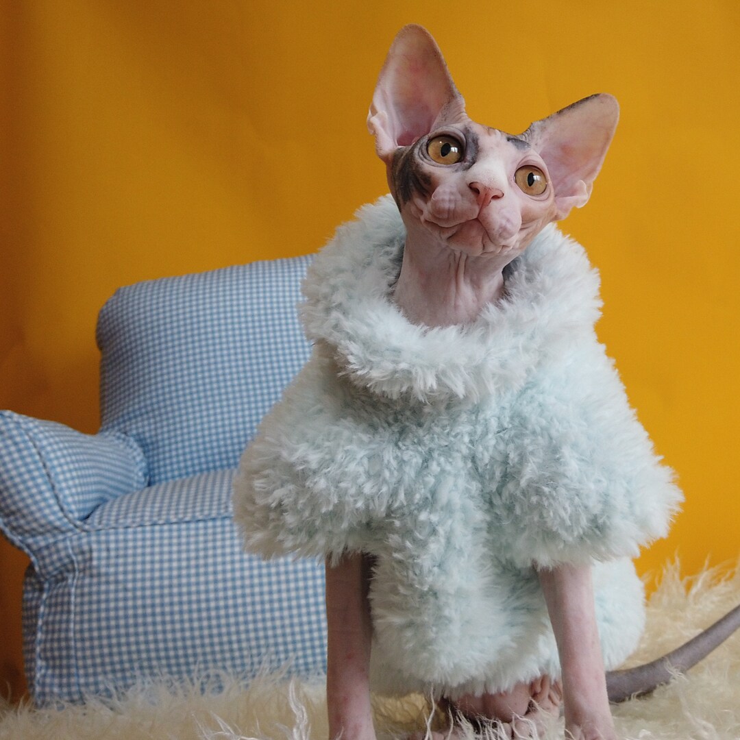 Sphinx Cat Clothes / Plush Cat Clothes / Hairless Cat Clothes ...