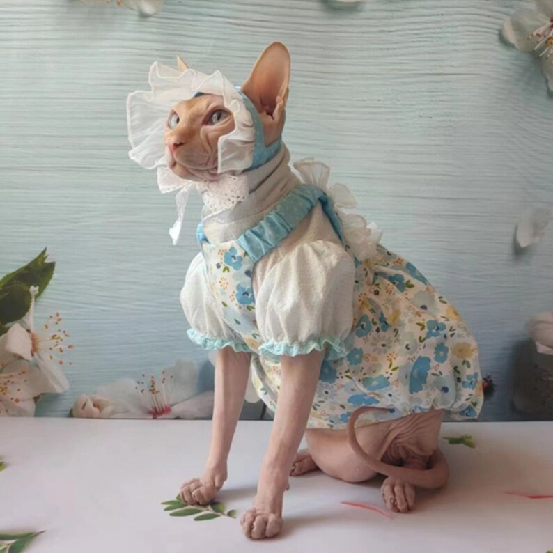 4 Colors Sphynx Cat Clothes/devon Rex Cat Sunmmer Clothes/hairless Cat ...