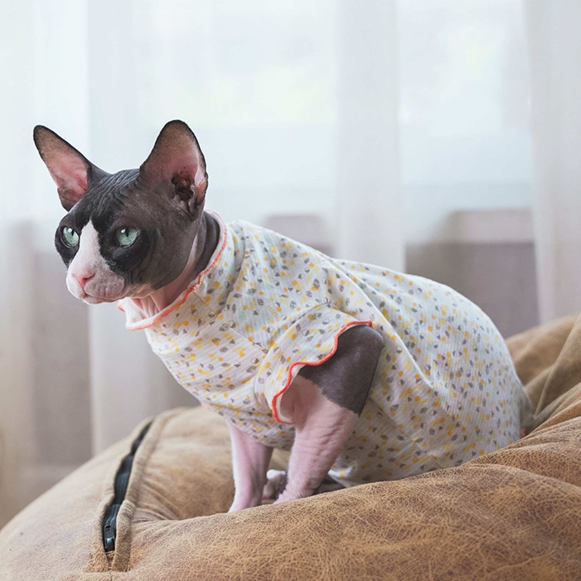 Sphynx Cat Summer Shirts, Hairless Cat Outfit, Cat Lightweight Clothes ...